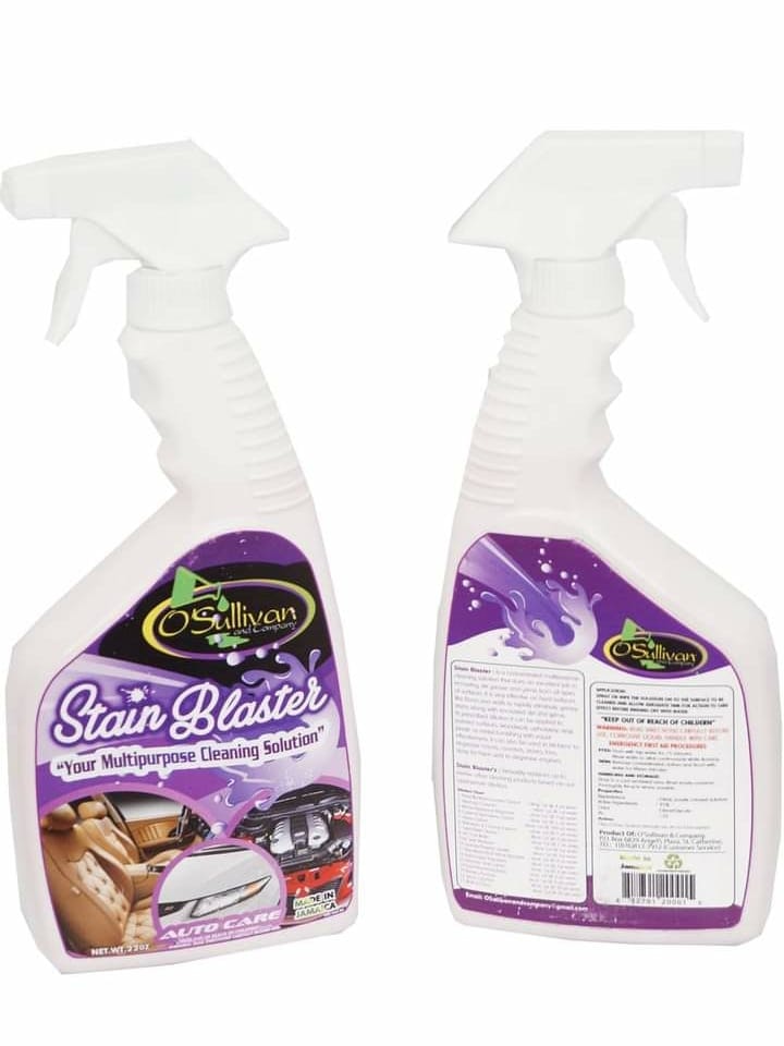 12 bottles of Stain Blaster- Multipurpose Cleaning Solution (1 Case ...